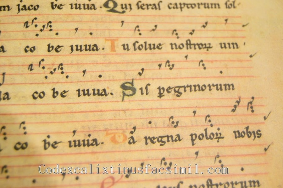 Guida del Pellegrino (S. Lusini) Codex Calixtinus | Codex Calixtinus